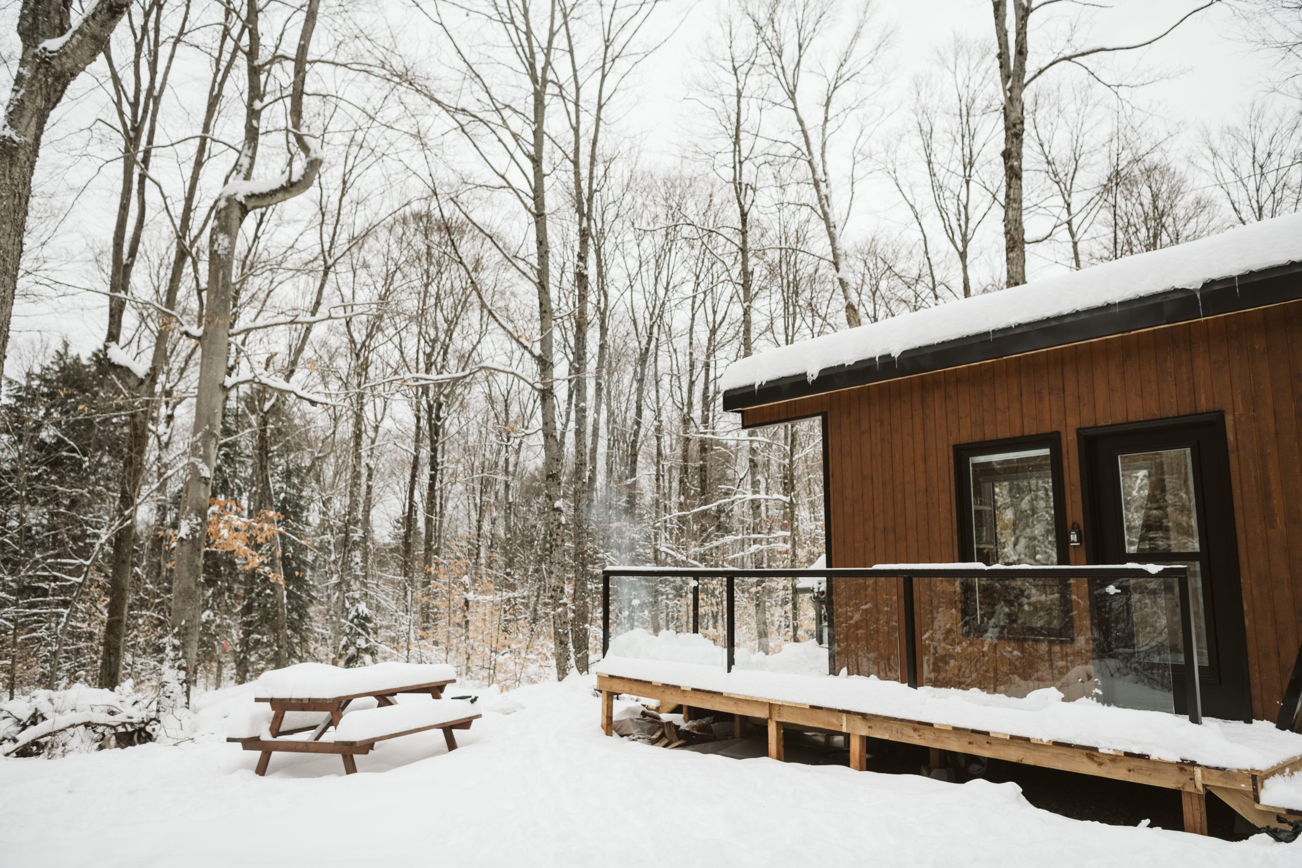 Moss Cabin – Cabinscape